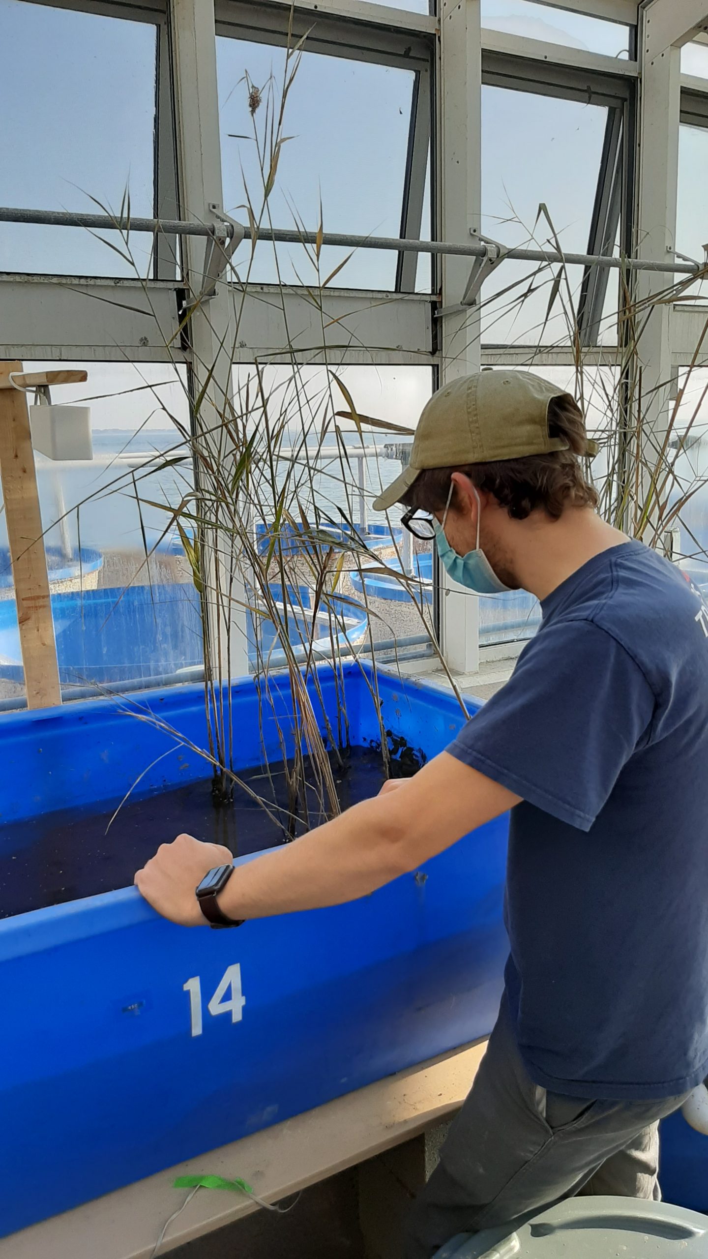 Research Continues Safely Amid COVID-19 | Marine Sciences