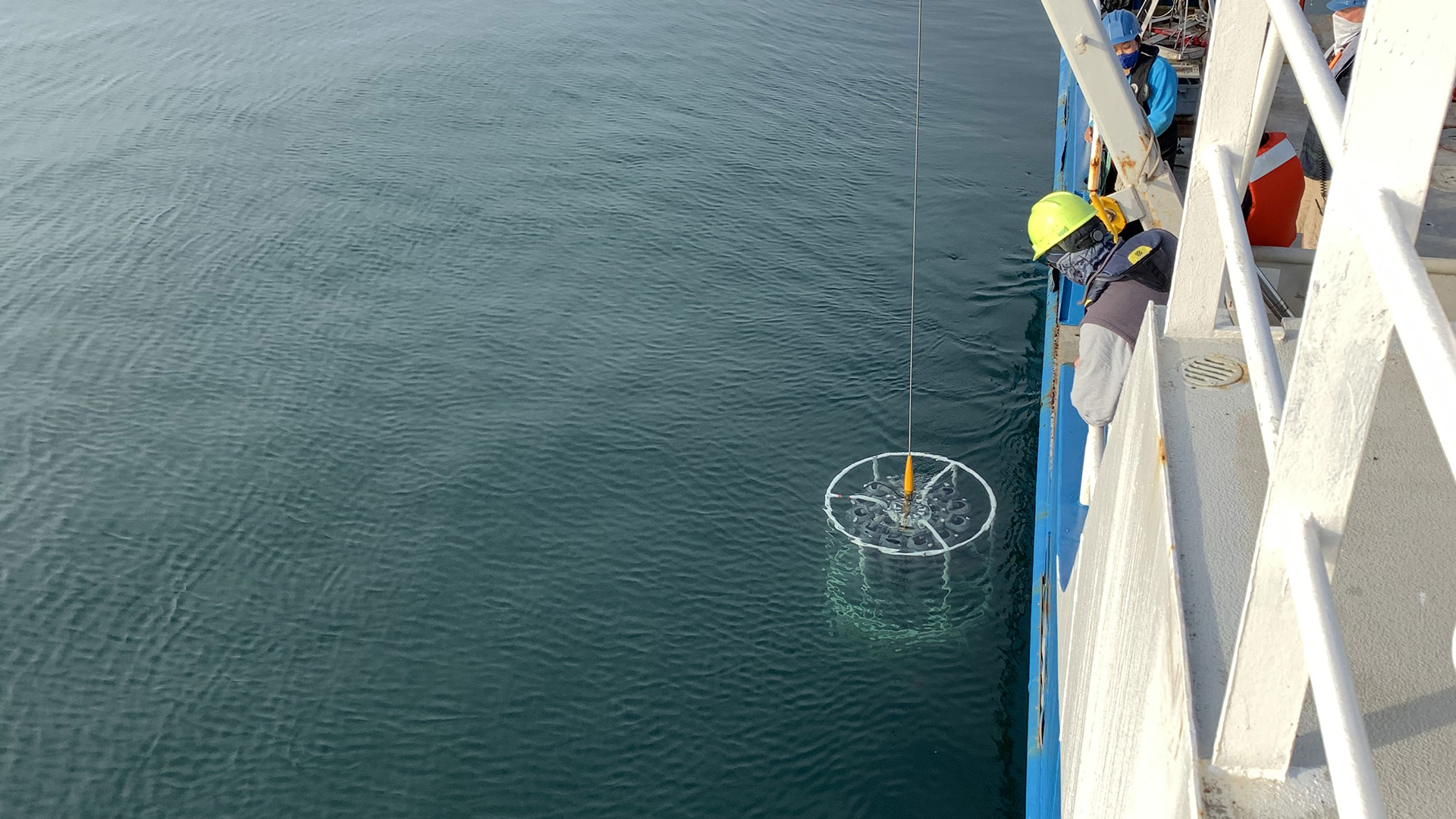 Graduate Education | Marine Sciences